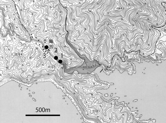 Relationships Between Coastal and Fluvial Geomorphology and Inundation ...