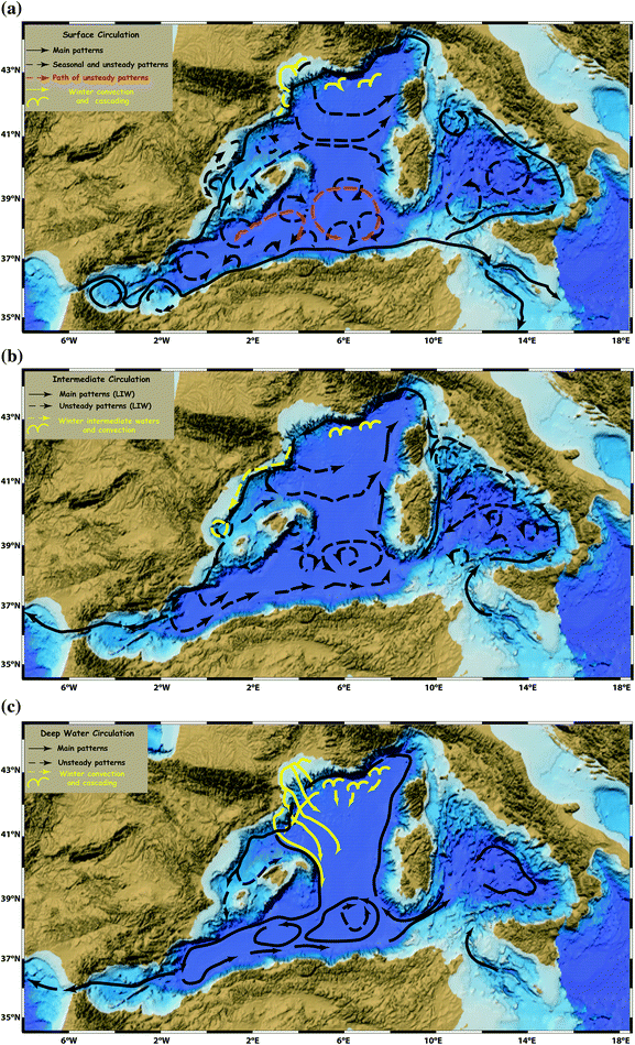 Currents in the Western Mediterranean Basin | SpringerLink