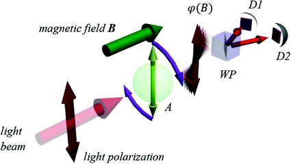 Nonlinear Magneto-Optical Rotation Magnetometers | SpringerLink