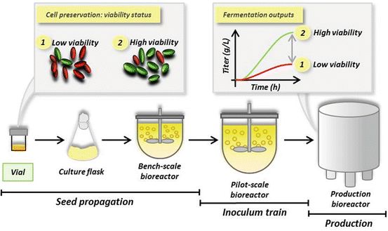 Novel Preservation Techniques for Microbial Cultures | SpringerLink