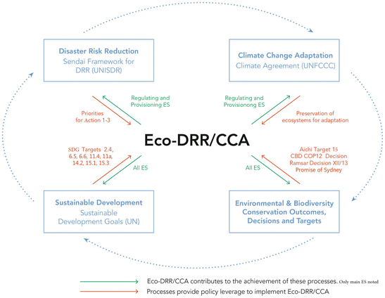 Developments and Opportunities for Ecosystem-Based Disaster Risk ...
