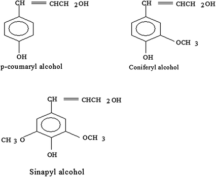 Linen and Its Wet Processing | SpringerLink