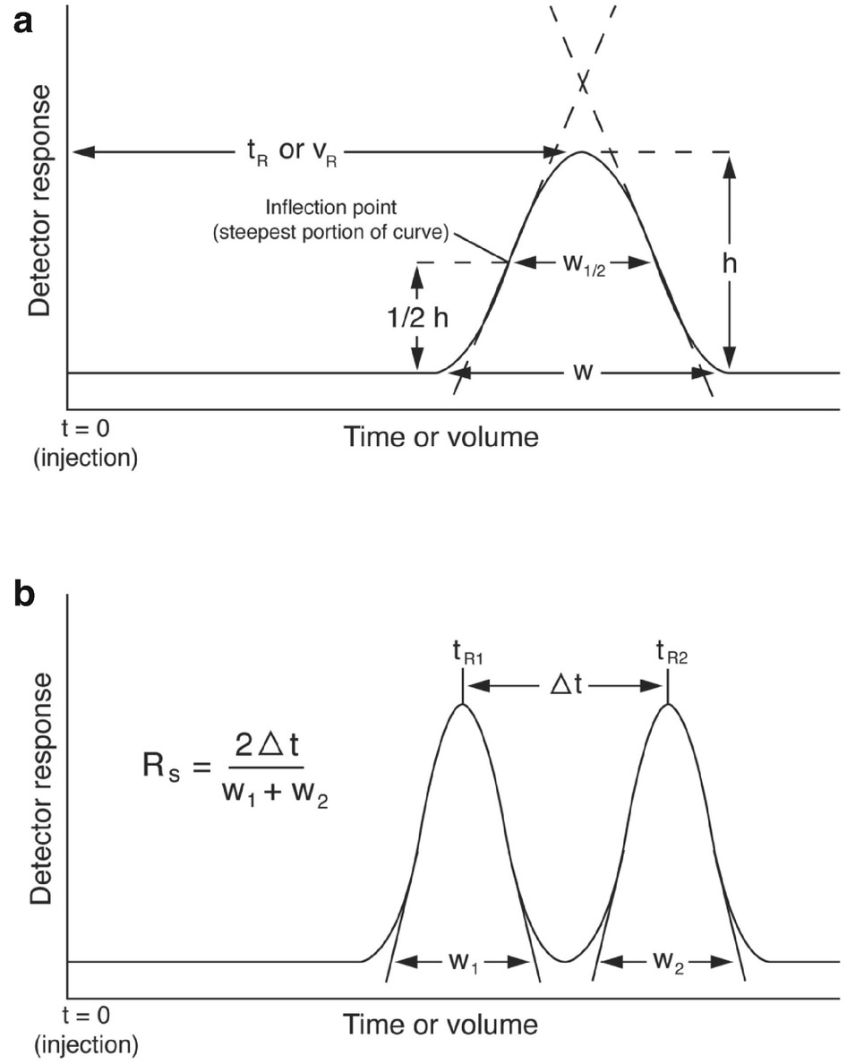 Basic Principles of Chromatography | SpringerLink