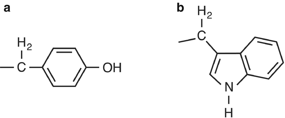 Protein Analysis | SpringerLink