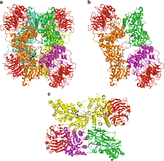 The Structure and Function of the PRMT5:MEP50 Complex | SpringerLink