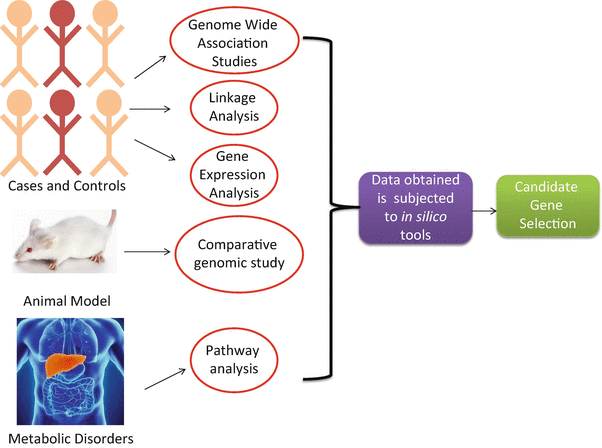 Candidate Gene | SpringerLink