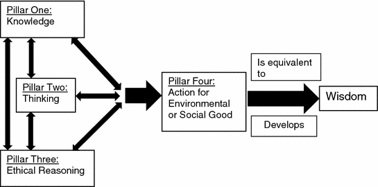Education for Sustainability: A Wisdom Model | SpringerLink