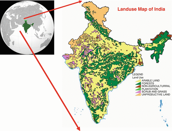 Nanotechnology for Sustainable Agriculture in India | SpringerLink