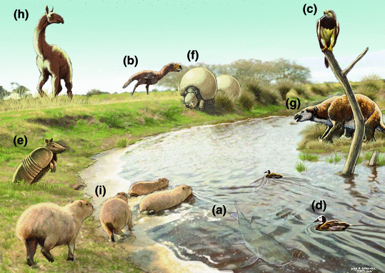 Miocene Marine Transgressions: Paleoenvironments and Paleobiodiversity ...