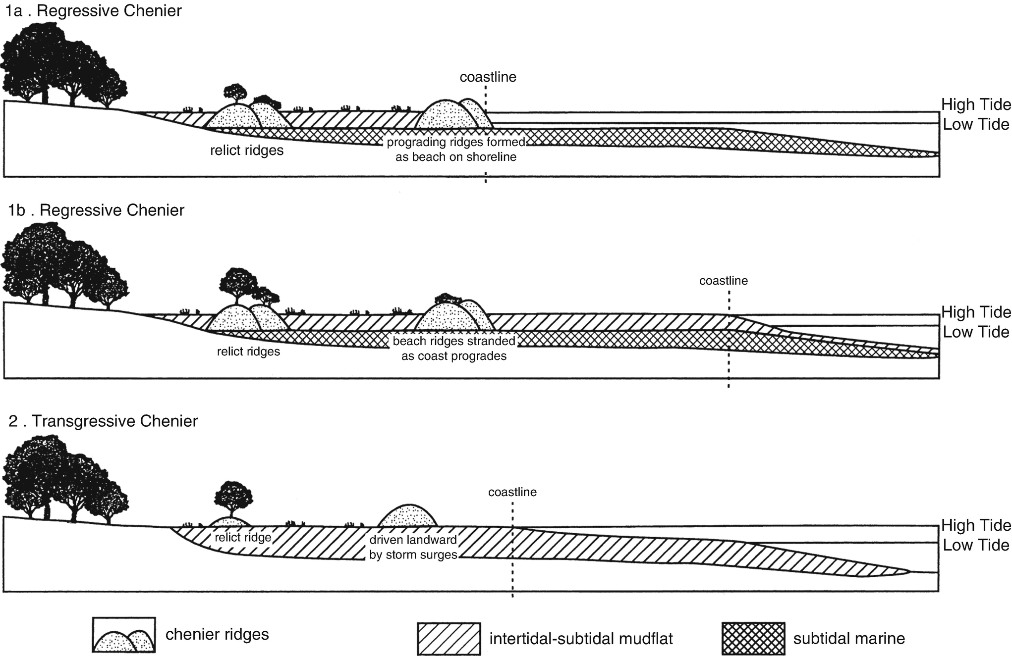 Cheniers | SpringerLink