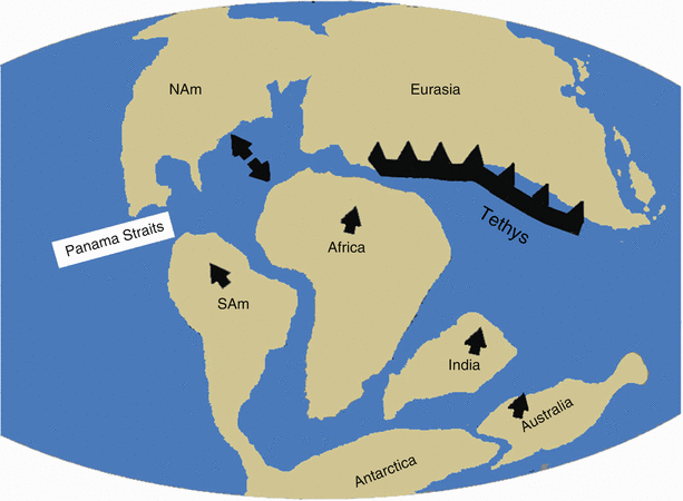 Cretaceous Environments and Deep-Ocean Drilling | SpringerLink