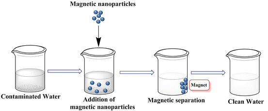 Role of Magnetic Nanoparticles in Providing Safe and Clean Water to ...