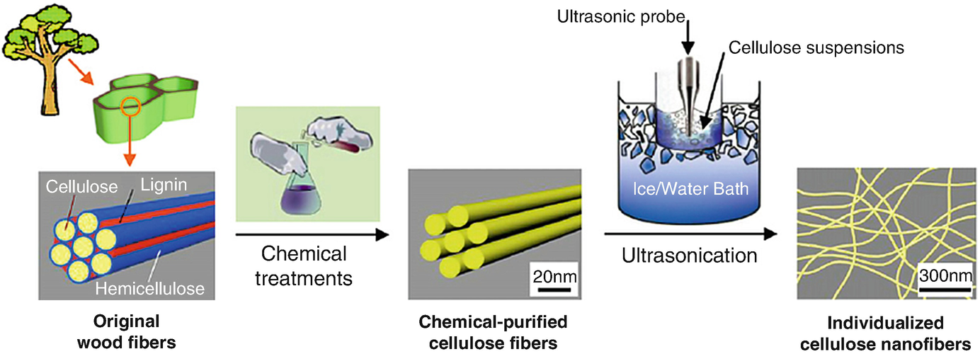 Cellulose Nanofibers: Fabrication and Surface Functionalization ...