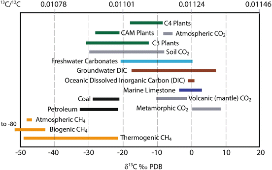 Isotopic Composition and Accurate Mass | SpringerLink