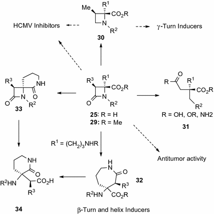 β-Lactams Through Single Bond Ring Closing: Methods, Transformations ...