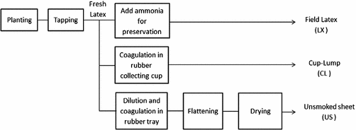 The Elements of the Natural Rubber Industry Supply Chain | SpringerLink