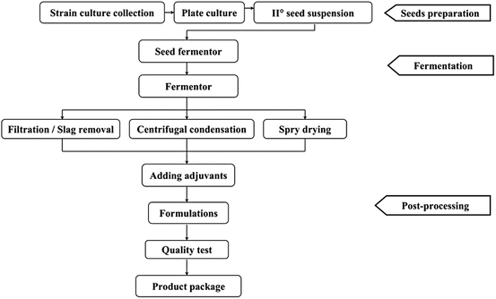 Mass Production, Application and Market Development of Bacillus ...