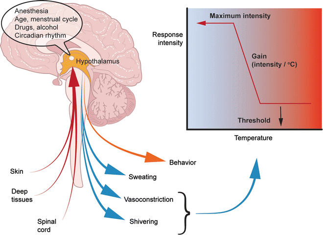 Perioperative Thermoregulation in the Elderly | SpringerLink