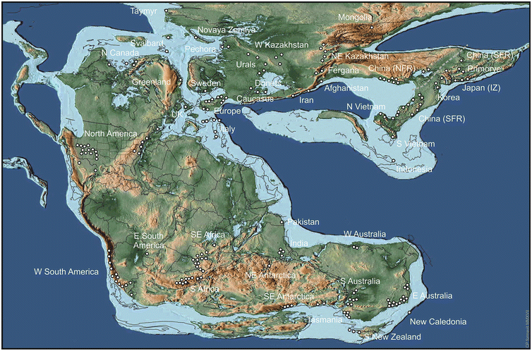Flora of the Late Triassic | SpringerLink