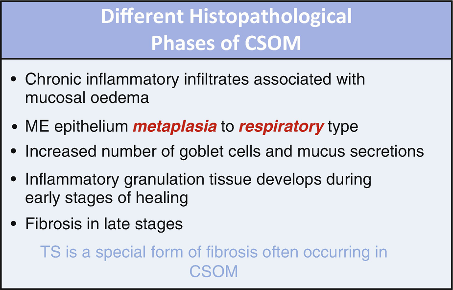 Chronic Suppurative Otitis Media (CSOM): A Middle Ear Mucosal Disease | SpringerLink