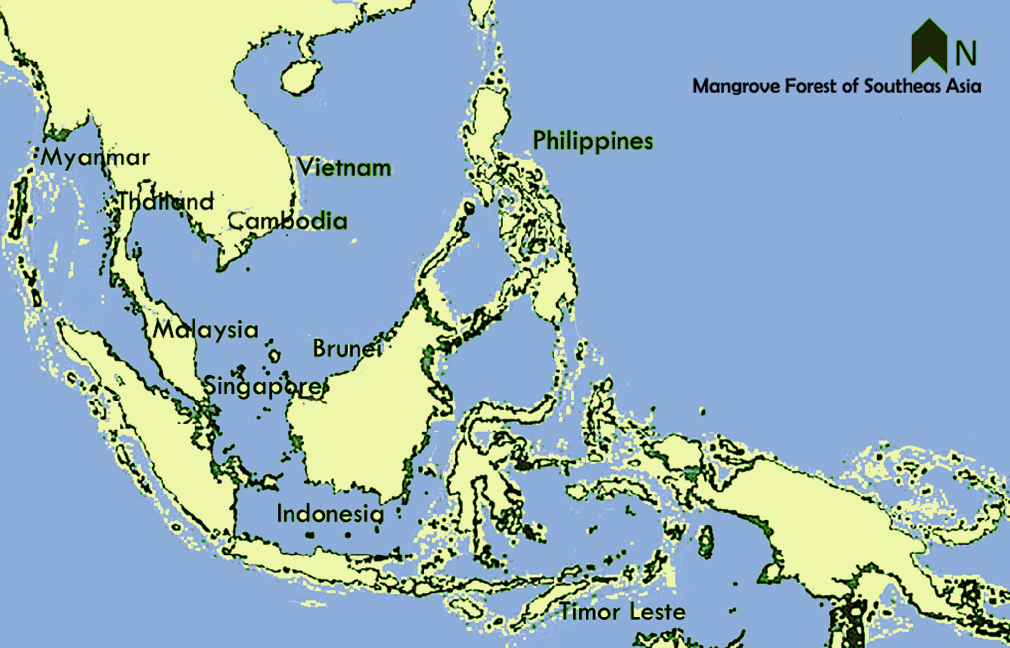 Conserving Mangroves for Their Blue Carbon: Insights and Prospects for ...