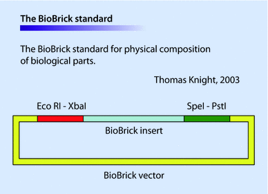 The Tools | SpringerLink