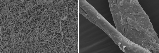 Production and Characteristics of Cellulose from Different Sources ...