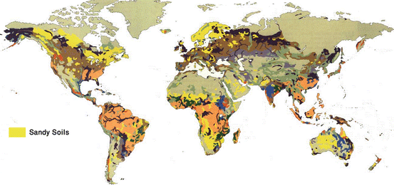 Sandy Soils | SpringerLink
