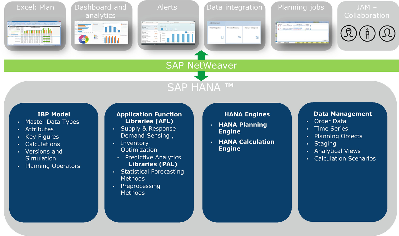 How to Enable Change with SAP IBP Technology | SpringerLink