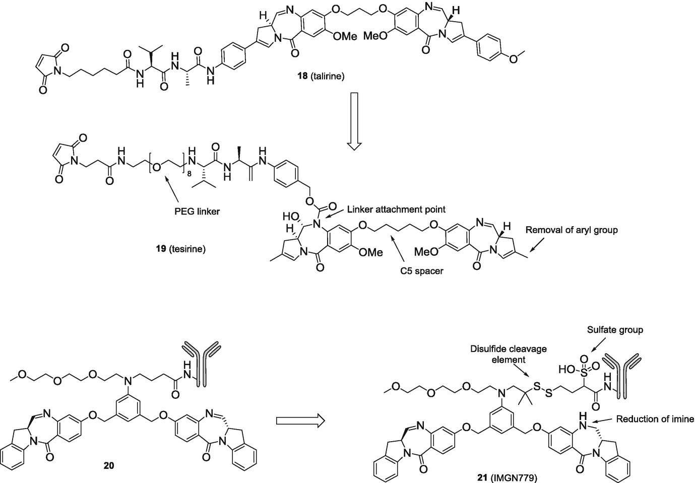 Next Generation Payloads for ADCs | SpringerLink