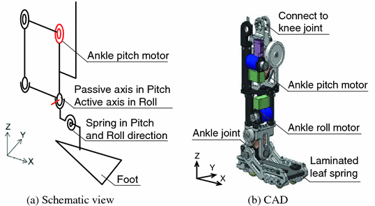 Ankle and Foot Mechanism Mimicking Joint Stiffness and Following Motion ...