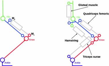 Preliminary Survey of Backdrivable Linear Actuators for Humanoid Robots ...