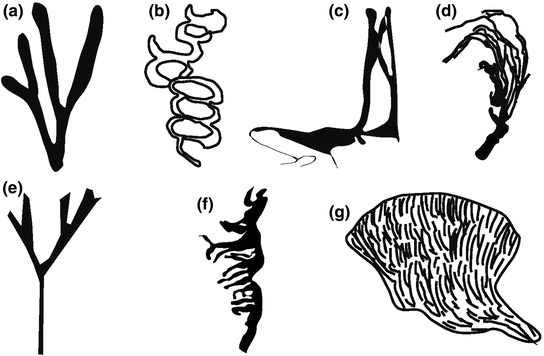 Megascopic Carbonaceous Remains from Proterozoic Basins of India ...