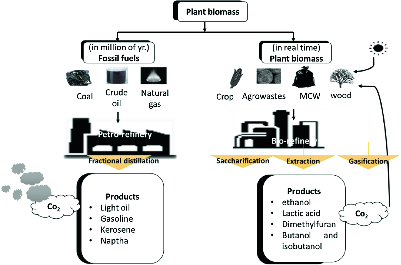 Integrated Lignocellulosic Biorefinery for Sustainable Bio-Based ...