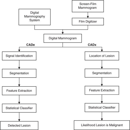 Computer-aided Detection and Diagnosis | SpringerLink