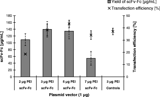 Transient Production of scFv-Fc Fusion Proteins in Mammalian Cells ...