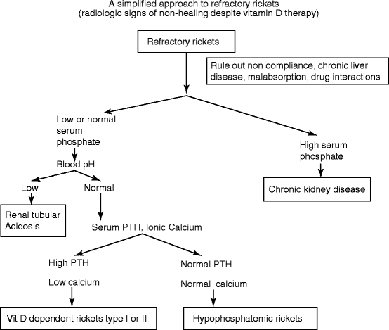Fluids, Electrolytes, and Acid–Base Disorders | SpringerLink