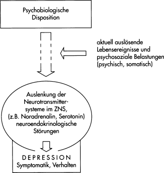 Ursachen und Auslöser einer Depression | SpringerLink