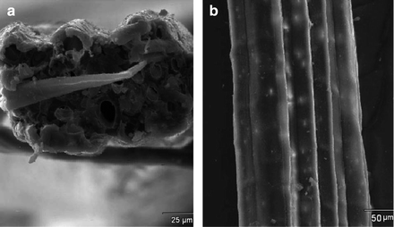 Natural Fibres: Structure, Properties and Applications | SpringerLink
