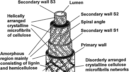 Natural Fibres: Structure, Properties and Applications | SpringerLink