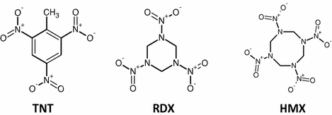 Biodegradation of the Explosives TNT, RDX and HMX | SpringerLink