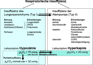 Respiratorische Insuffizienz und Beatmung | SpringerLink