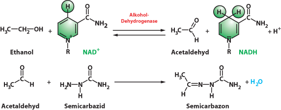 Methoden | SpringerLink