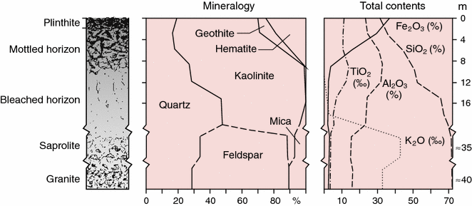 Soil Development and Soil Classification | SpringerLink