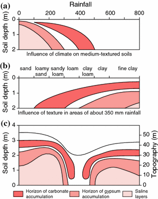 Soil Development and Soil Classification | SpringerLink
