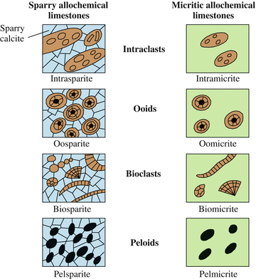 Carbonate Sediments | SpringerLink