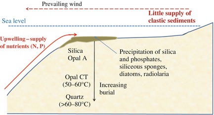 Mudrocks, Shales, Silica Deposits and Evaporites | SpringerLink