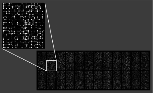 Microarray Technology: Basic Concept, Protocols, and Applications ...