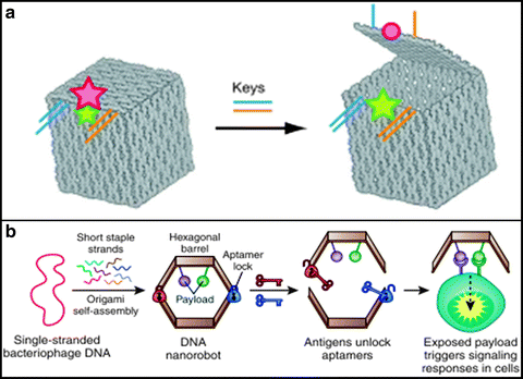 Design, Fabrication, and Applications of DNA Nanomachines | SpringerLink
