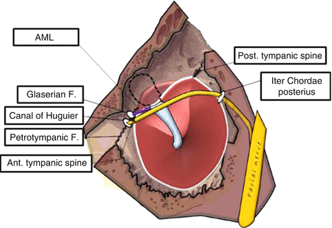 Middle Ear Cavity | SpringerLink
